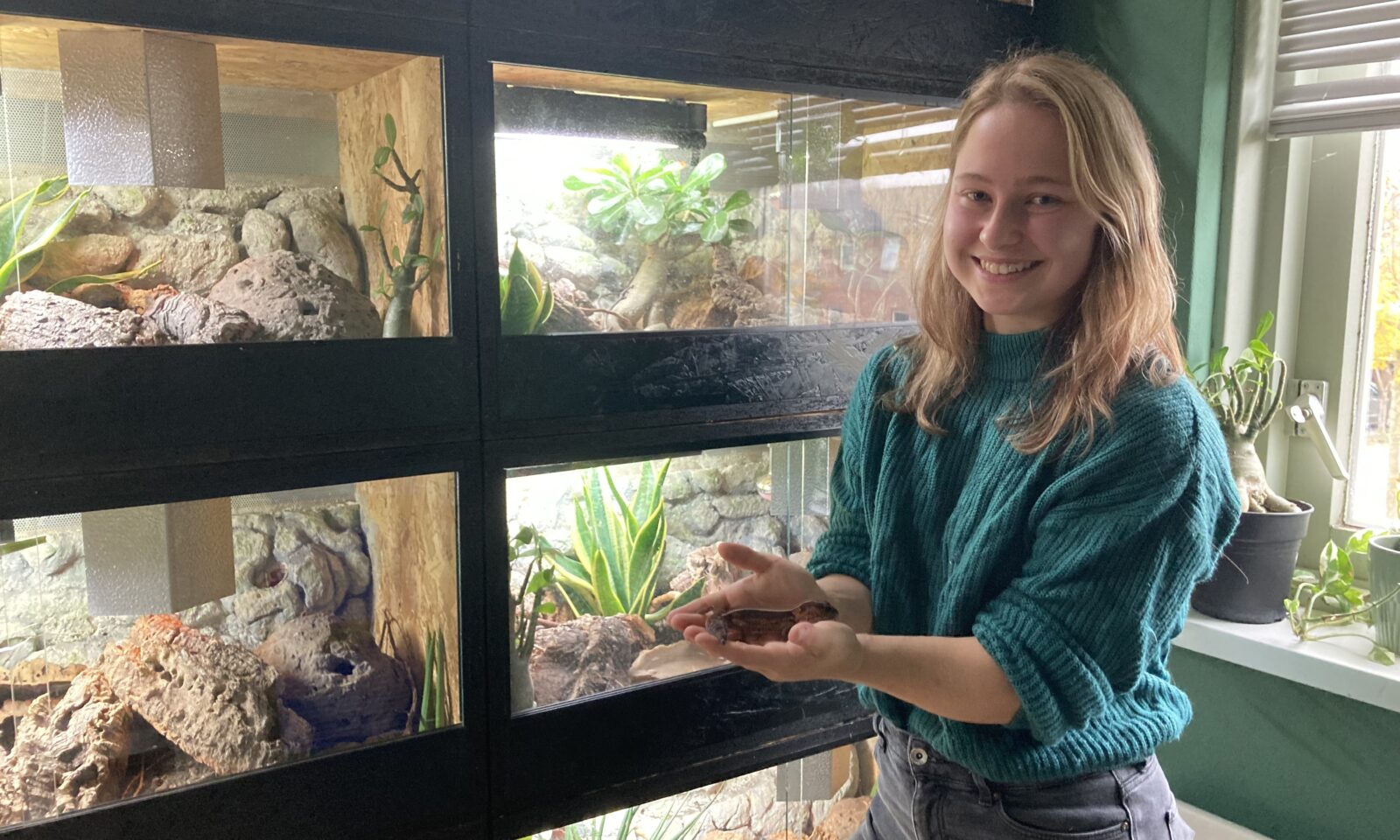 Gekko's of schildpadden als huisdier: 'Ik heb een fantastisch leuk leven, maar dit geeft mij zin ...
