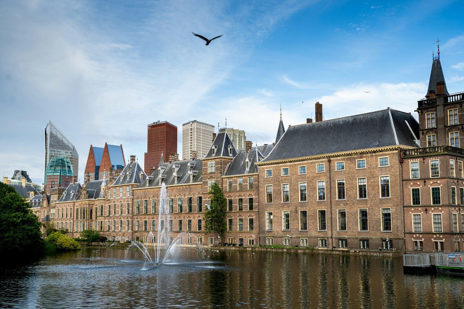 Hoe ervaren biculturele jongeren hun politieke representatie? - Red Pers